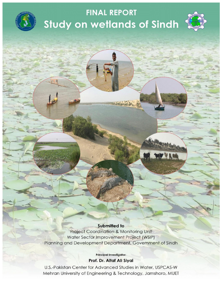 Lahan Basah Sindh | PDF