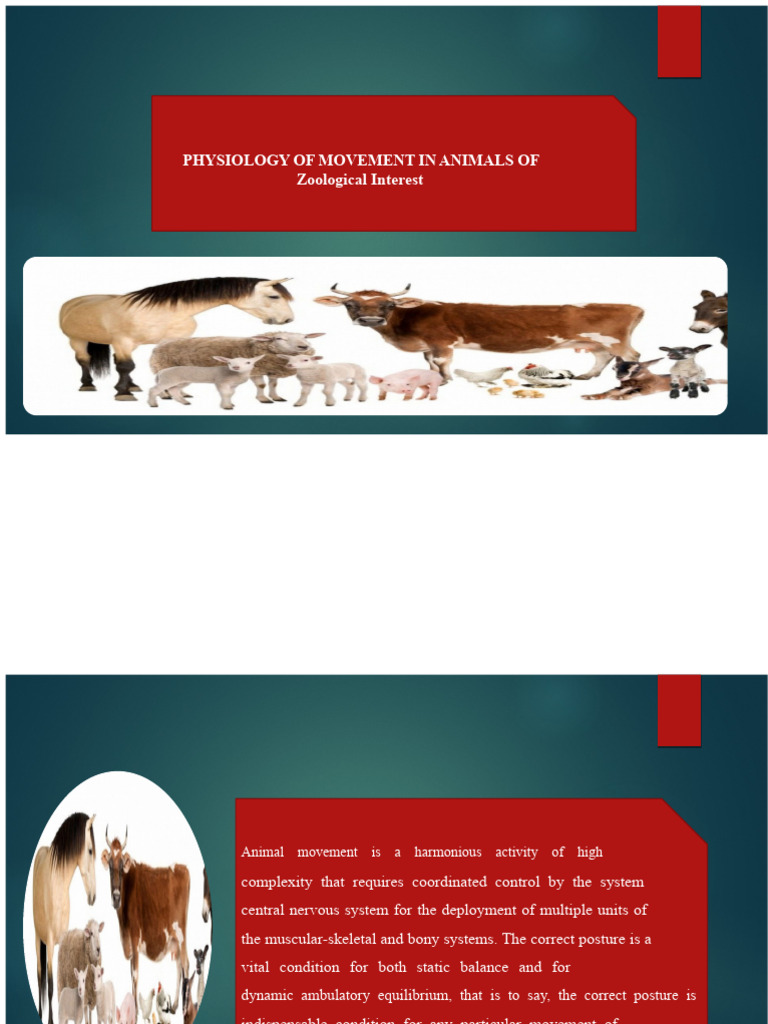Physiology of Animal Movement | PDF | Skeleton | Bone