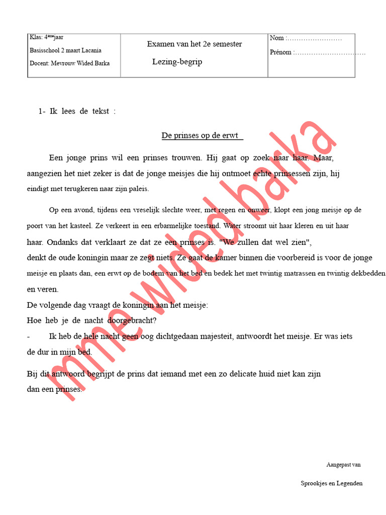 Lezing - Sems2 - 4de Jaar Basisschool | PDF