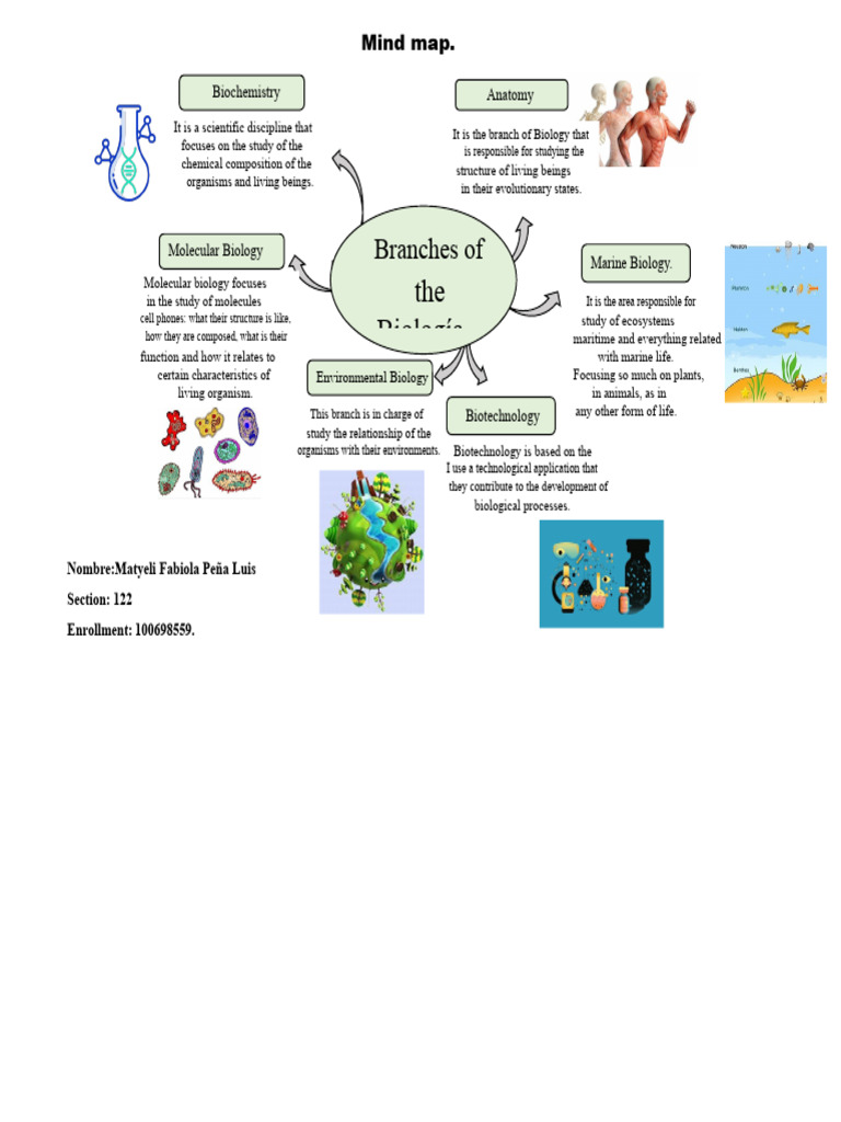 Overview of Biological Sciences Branches | PDF | Biology | Life Sciences