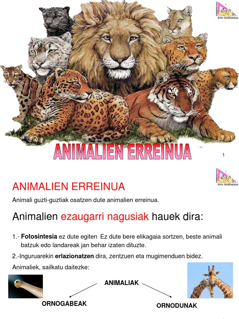 Animaliak | PDF