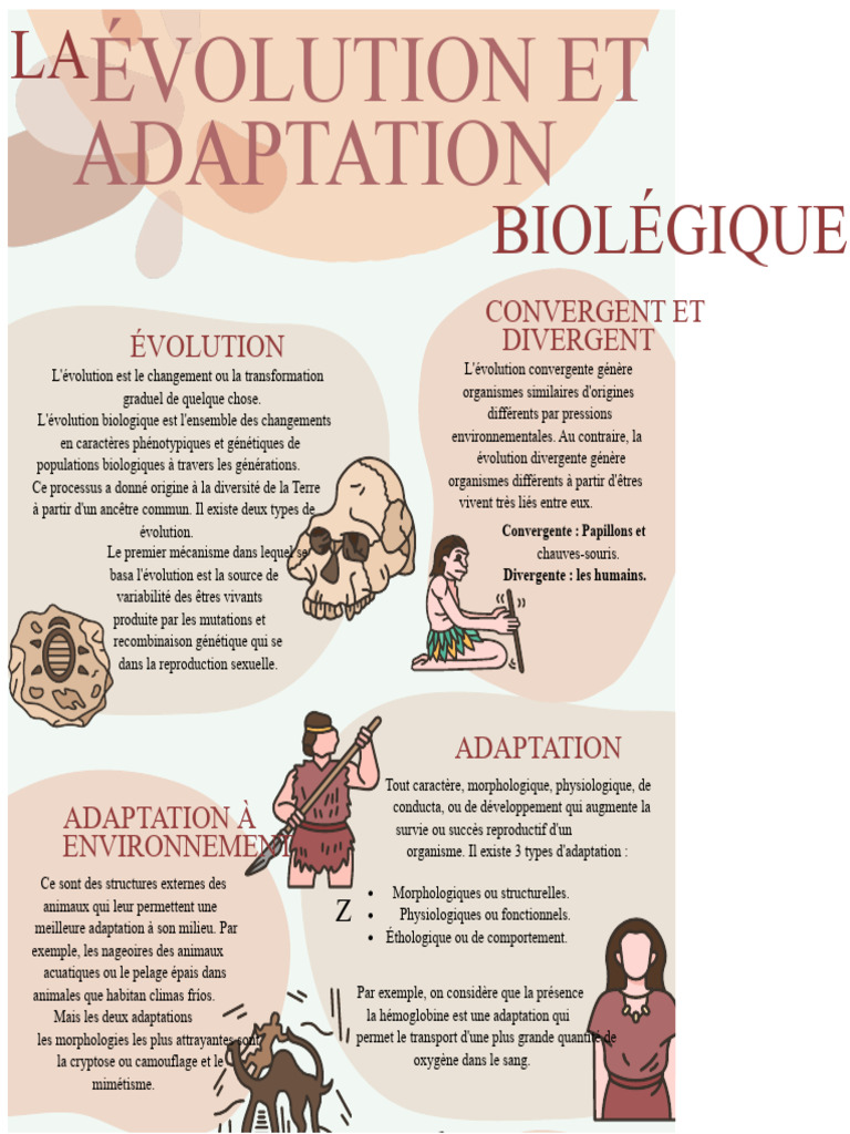 Évolution Convergente et Adaptation Biologique | PDF | Évolution ...