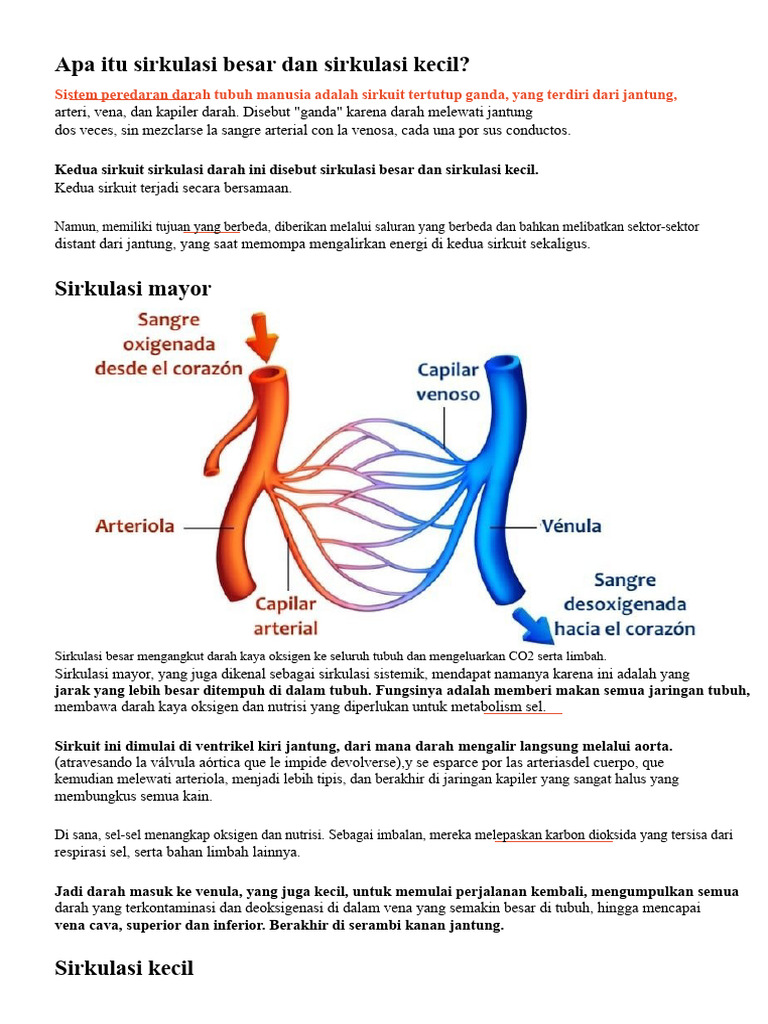 1.1 Apa Itu Sirkulasi Mayor Dan Sirkulasi Minor | PDF