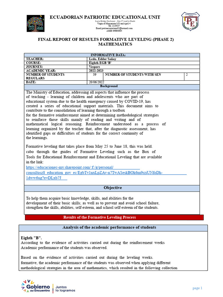 Formative Leveling Report - Eighth Grade Mathematics | PDF ...