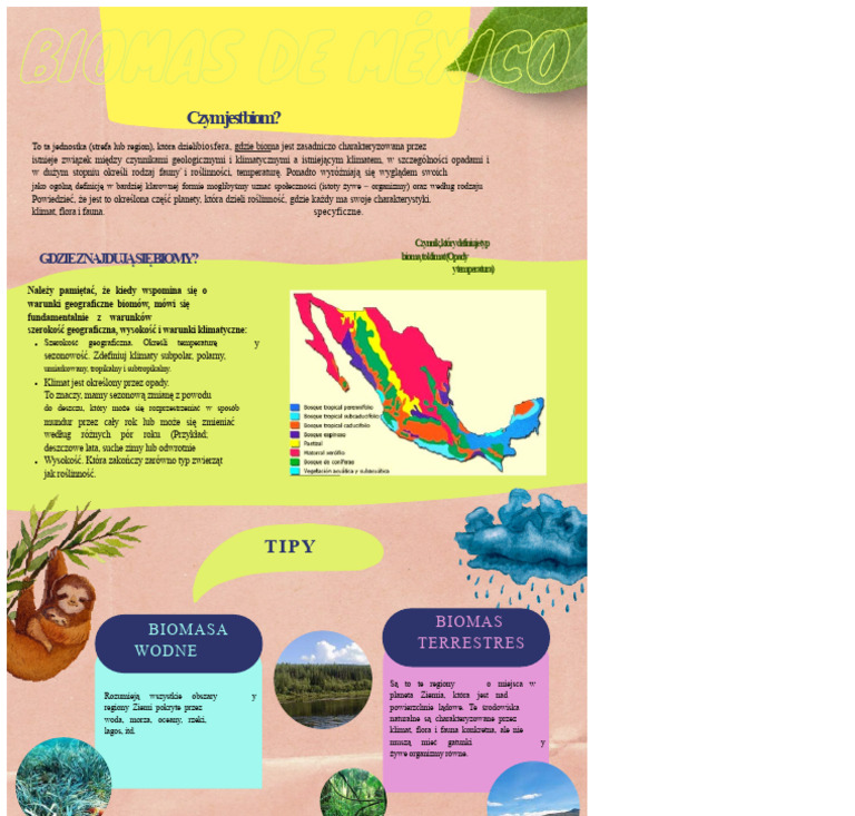 Infografika Biomy | PDF