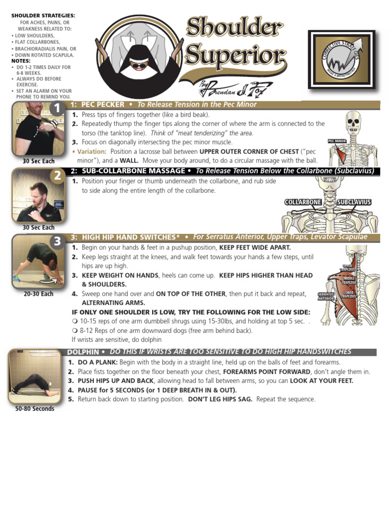 Shoulder Superior LOW | PDF | Arm | Thorax