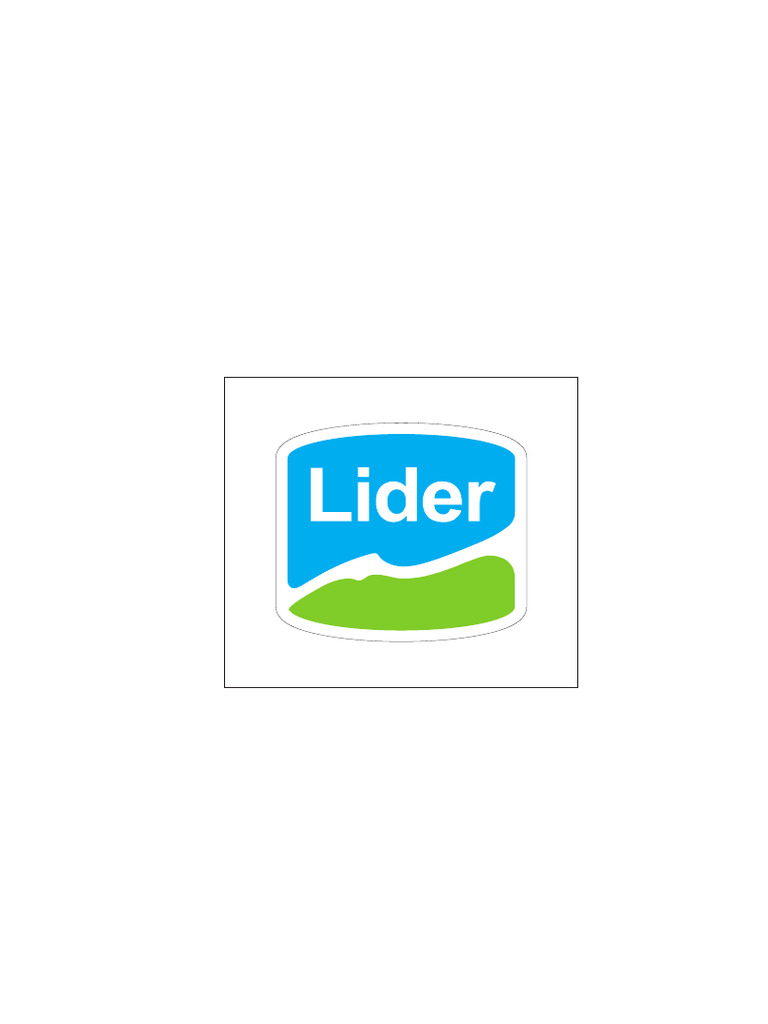Lider Logo | PDF