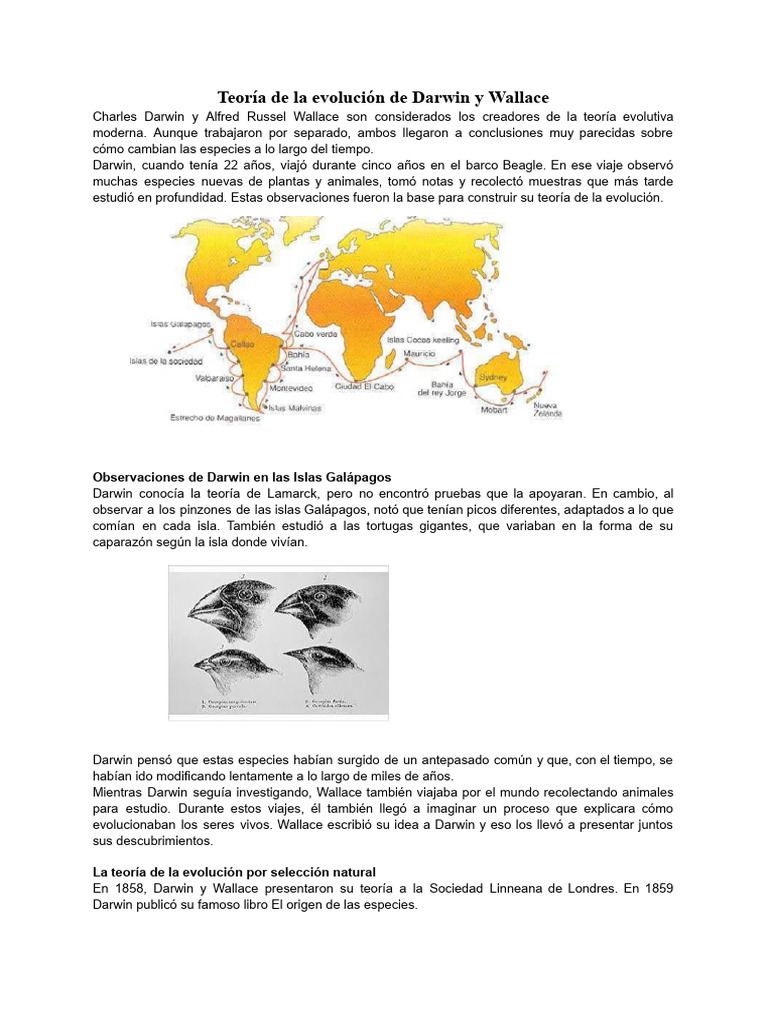 Evolución: Darwin y Wallace explican | PDF | Charles Darwin | Alfred ...