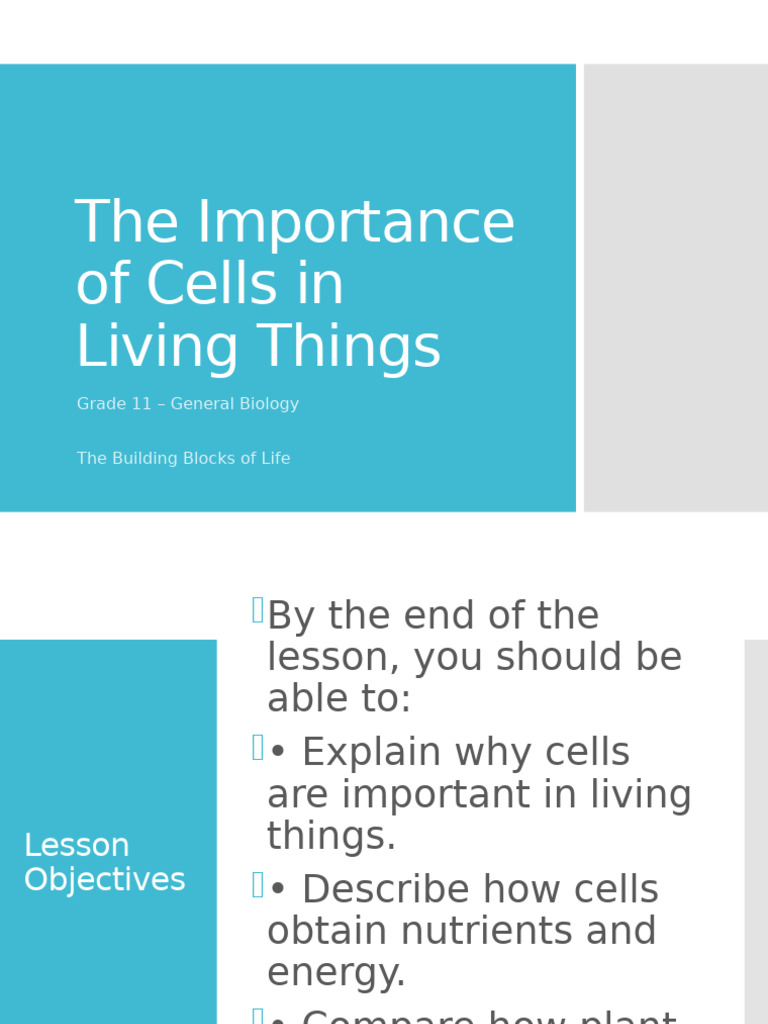 Importance of Cells in Living Organisms | PDF | Cell (Biology ...