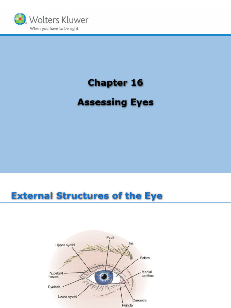 Chapter 16 Assessing EyesWeber 7e_PowerPoint Presentations_ Chapter 16 ...