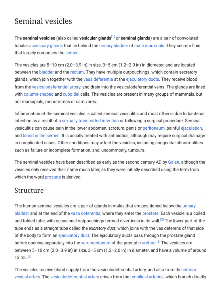 Anatomy and Function of Seminal Vesicles | PDF | Reproductive System ...