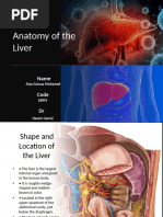 Surgical Anatomy of Doom and Pain Triangles | PDF | Abdomen