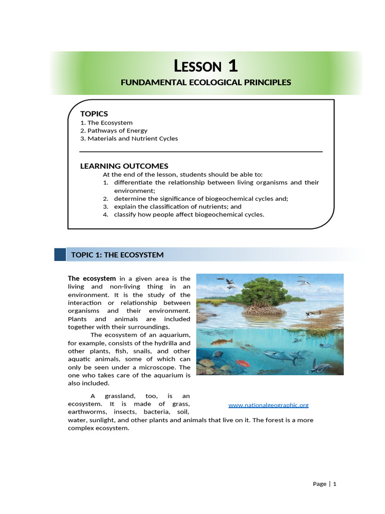 IM Envi Science | PDF | Cost Of Living | Ecosystem