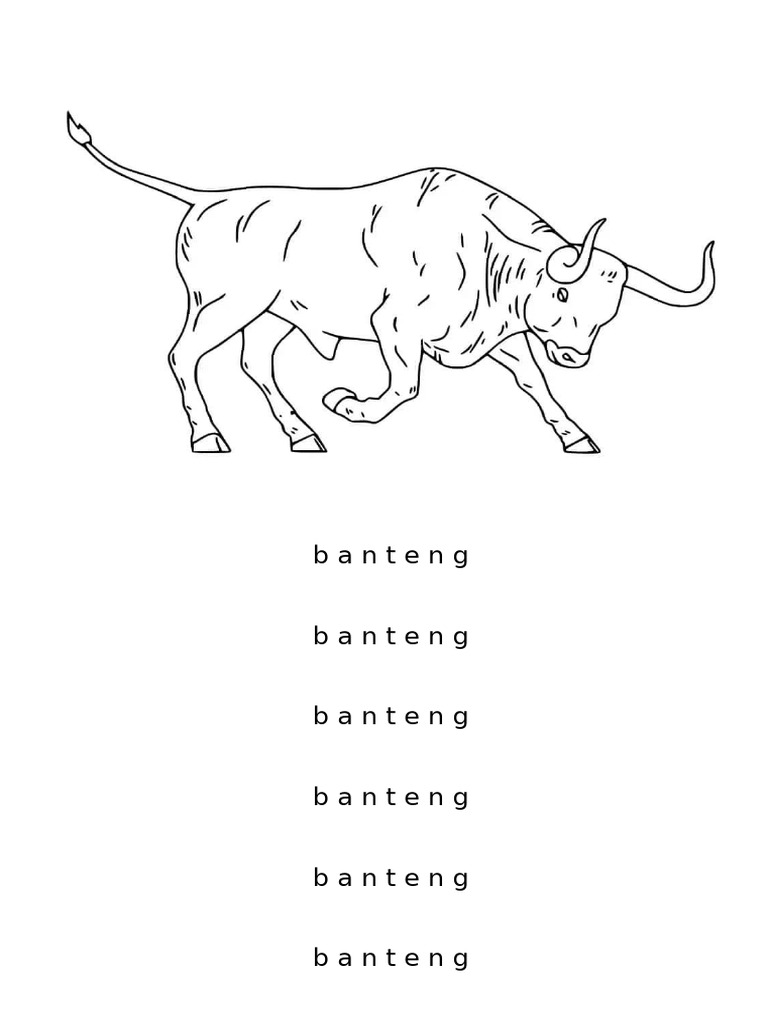 Mewarnai Banteng | PDF