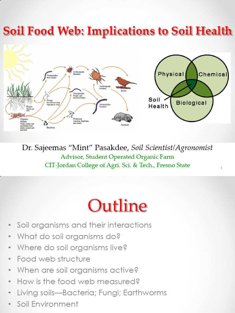 142936-Soil Food Web-Implications To Soil Health | PDF | Soil | Organic ...