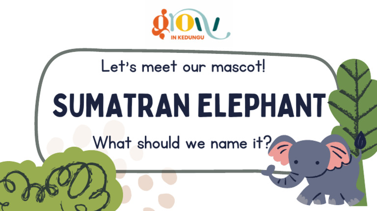 Elephant Class | PDF