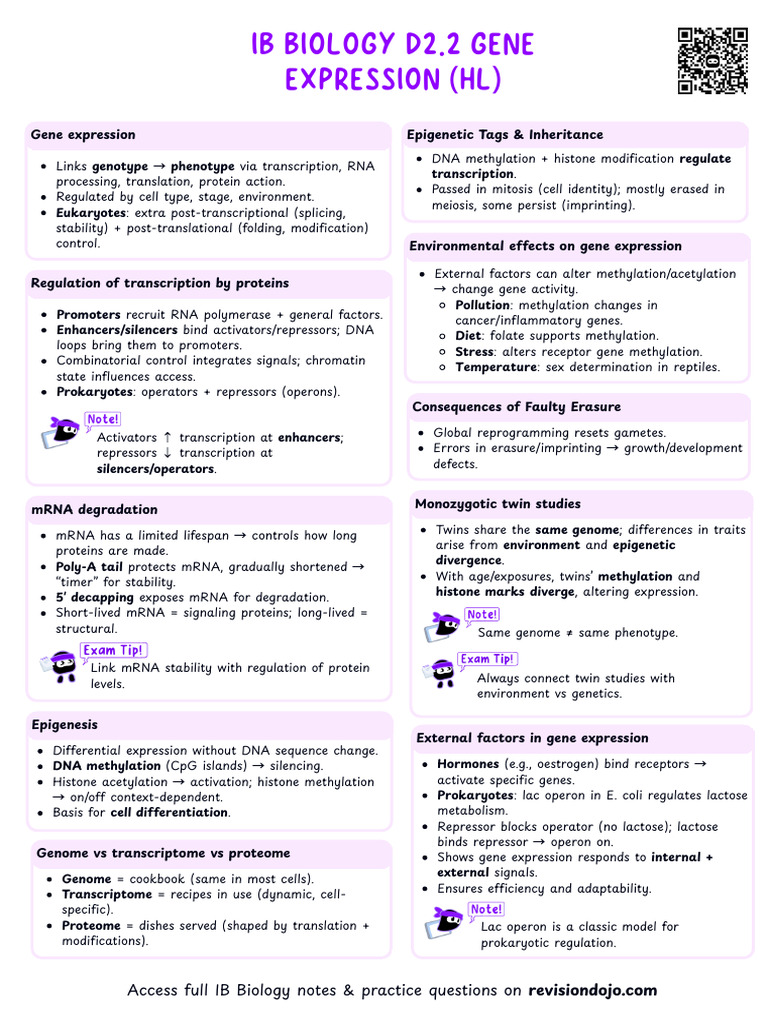 D2.2 Gene Expression (HL Only) | PDF | Gene Expression | Regulation Of ...