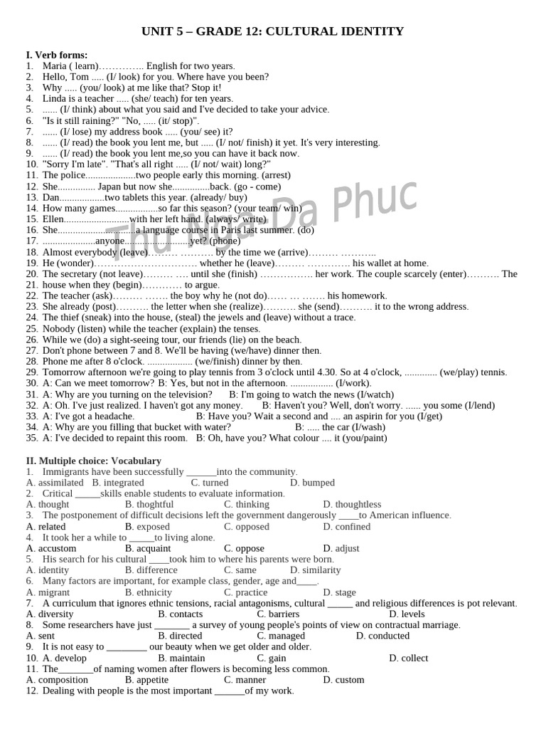 Unit 5 Cultural Identity | PDF | Black Friday (Shopping) | Christmas