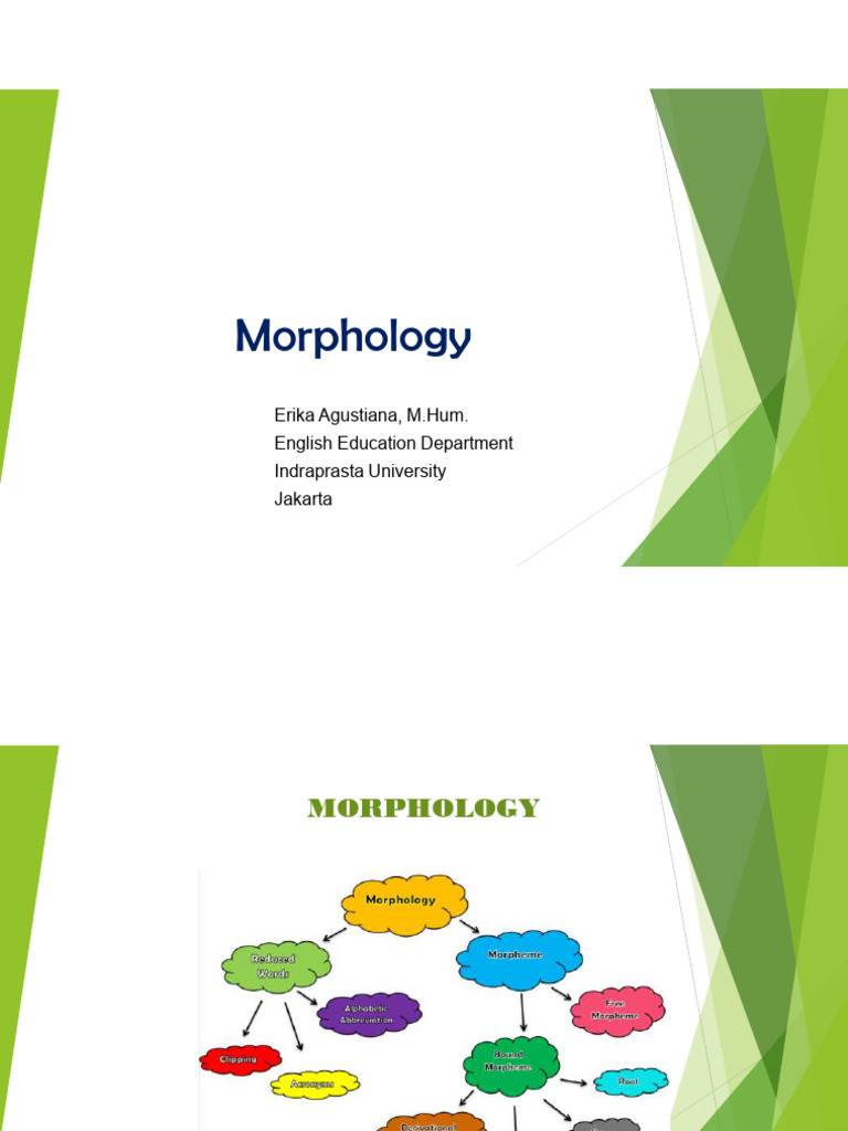 3 Morphology 2023 | PDF | Part Of Speech | Word