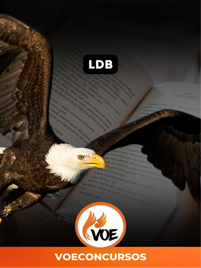 Questões sobre LDB e Educação Nacional | PDF | Educação Infantil ...
