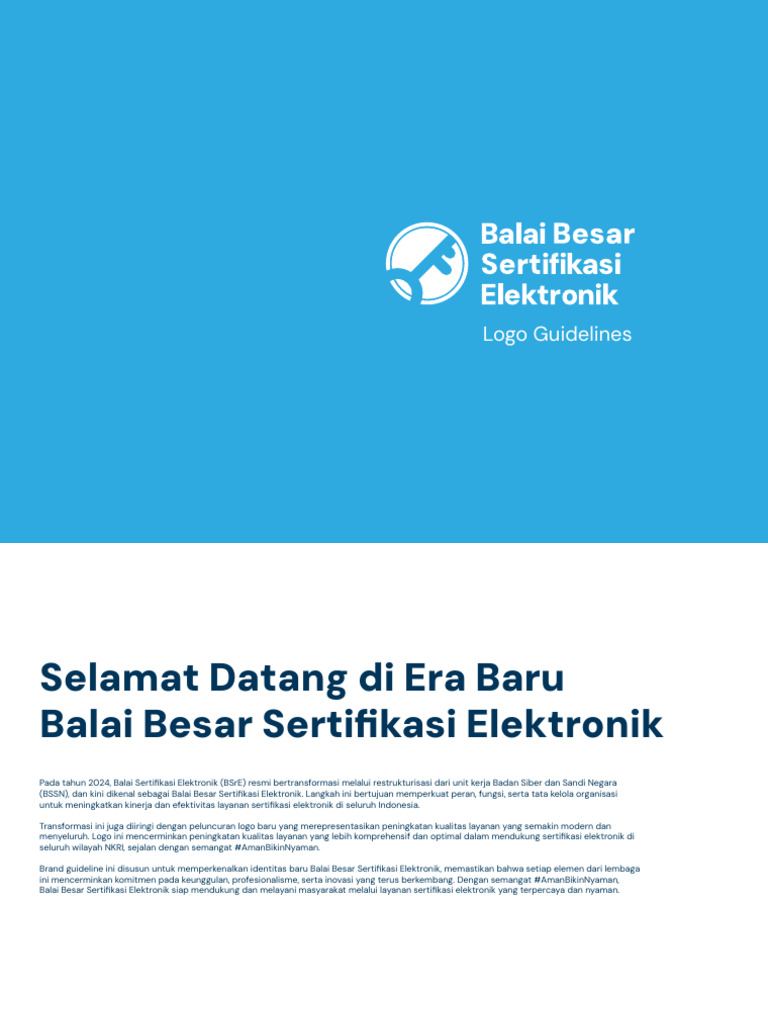 Panduan Logo BSrE 2024: Identitas Baru | PDF