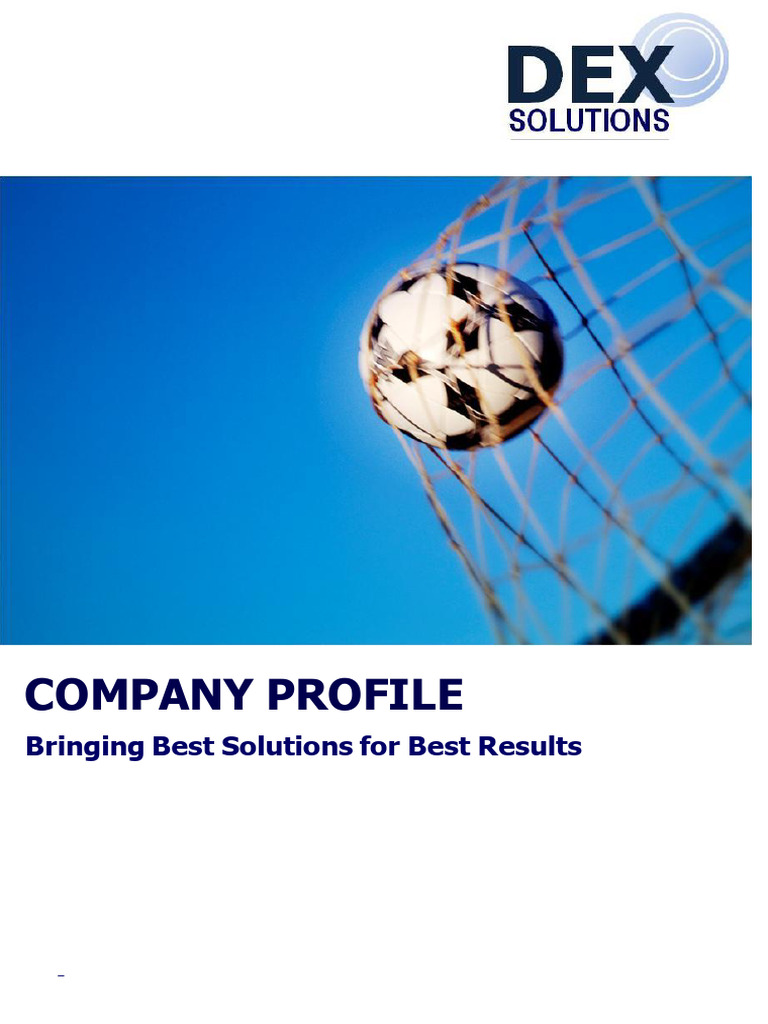 Company Profile DEX 2024 | PDF | Mergers And Acquisitions | Internal ...