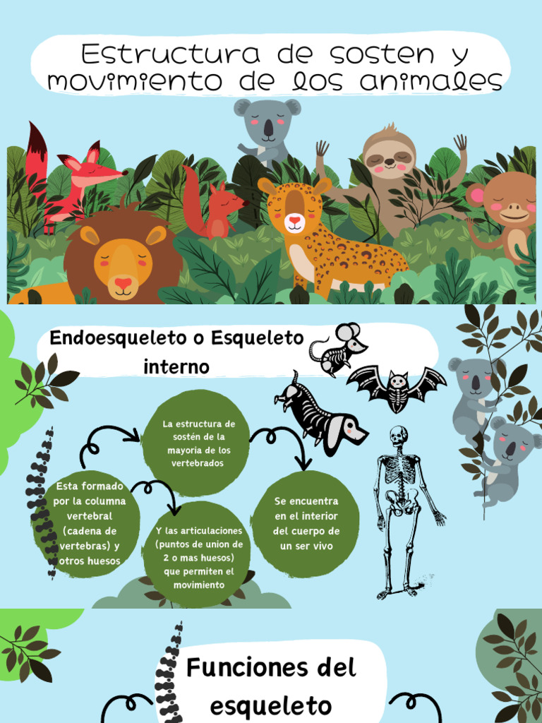 Animales Sosten y Movimiento | PDF