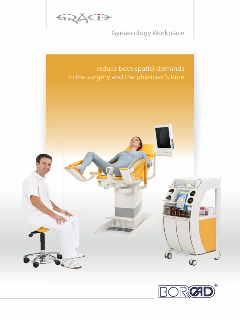 Borcad - Gracie | PDF | Computer Monitor | Pixel