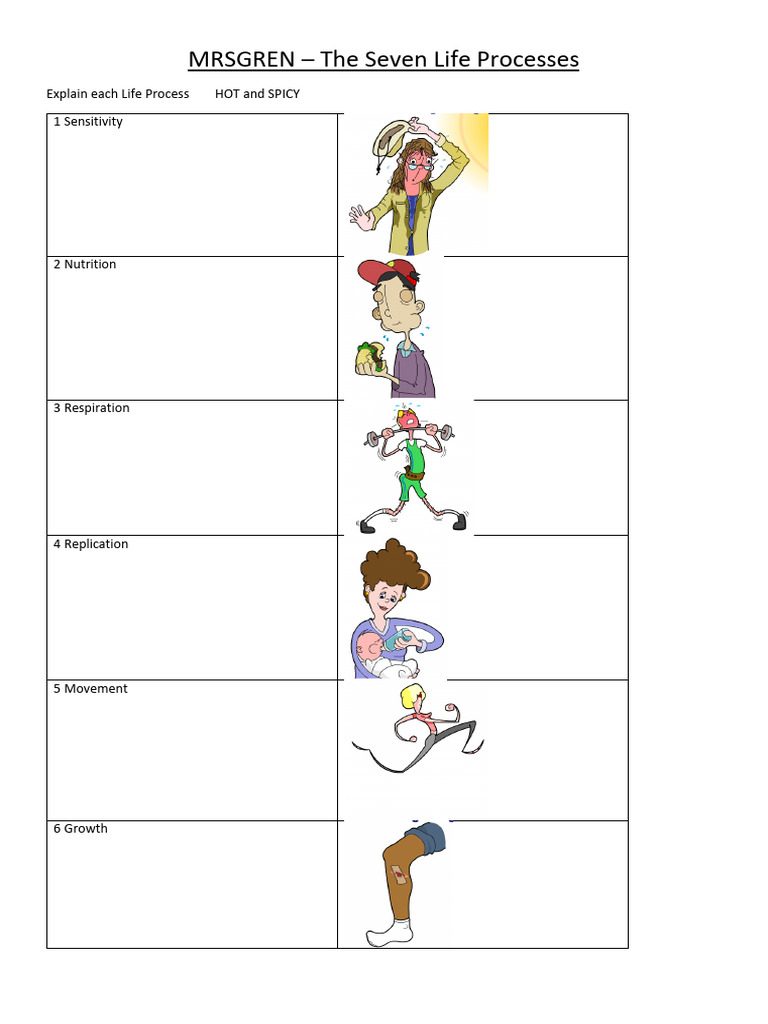 MRSGREN Hot and Spicy | PDF