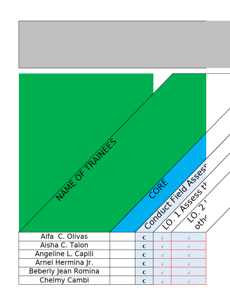 Achievement Chart and Progress Chart FLS | PDF
