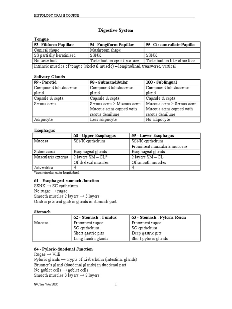 Histology Notes (Edited) | PDF | Stomach | Epithelium