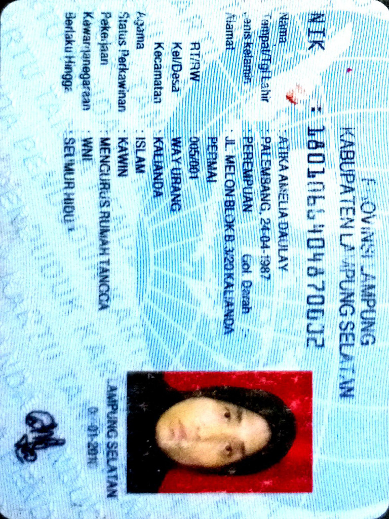 PDFReader 20250627 1141 | PDF