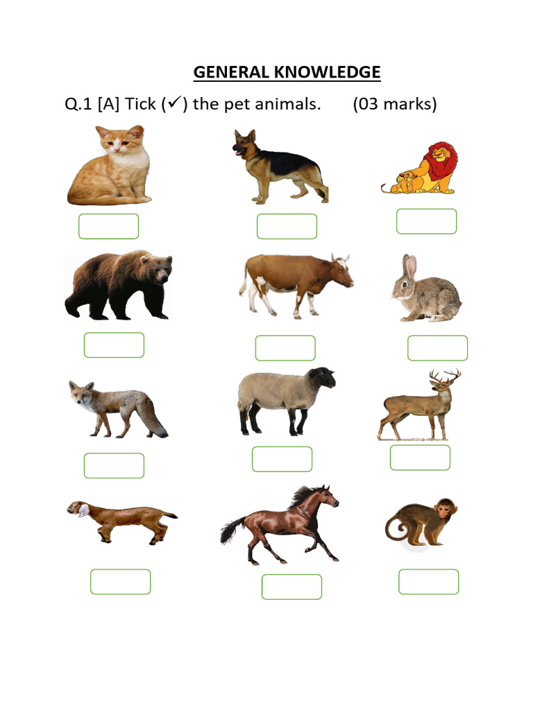 Pet and Wild Animal Identification Quiz | PDF