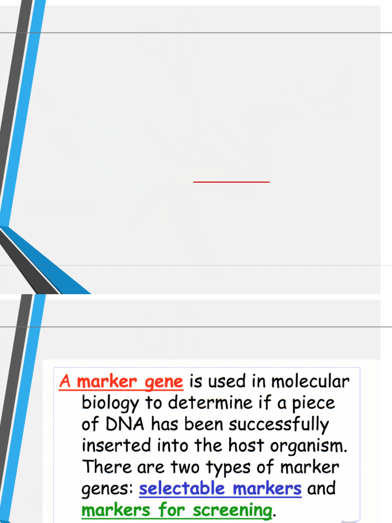 Marker Gene | PDF