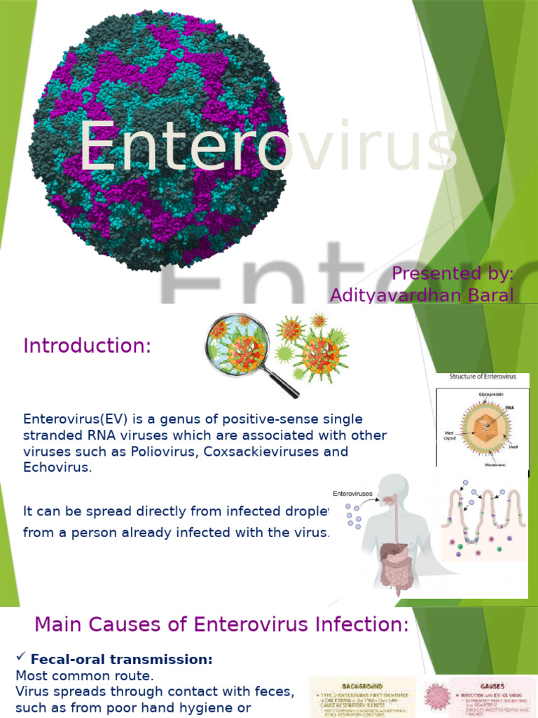 Enterovirus | PDF