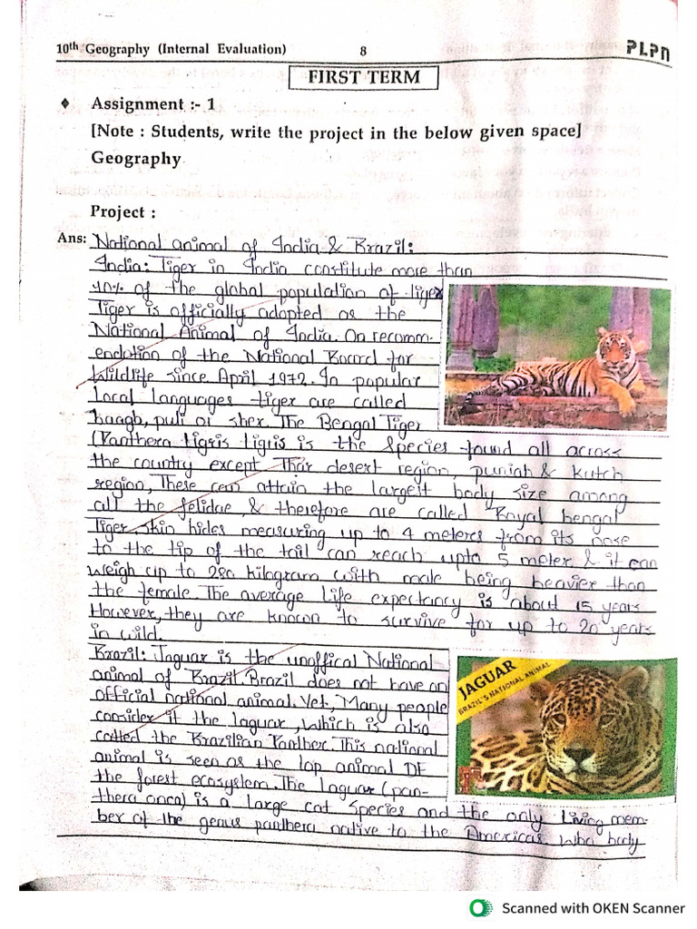 Geography (Practical) 10th | PDF