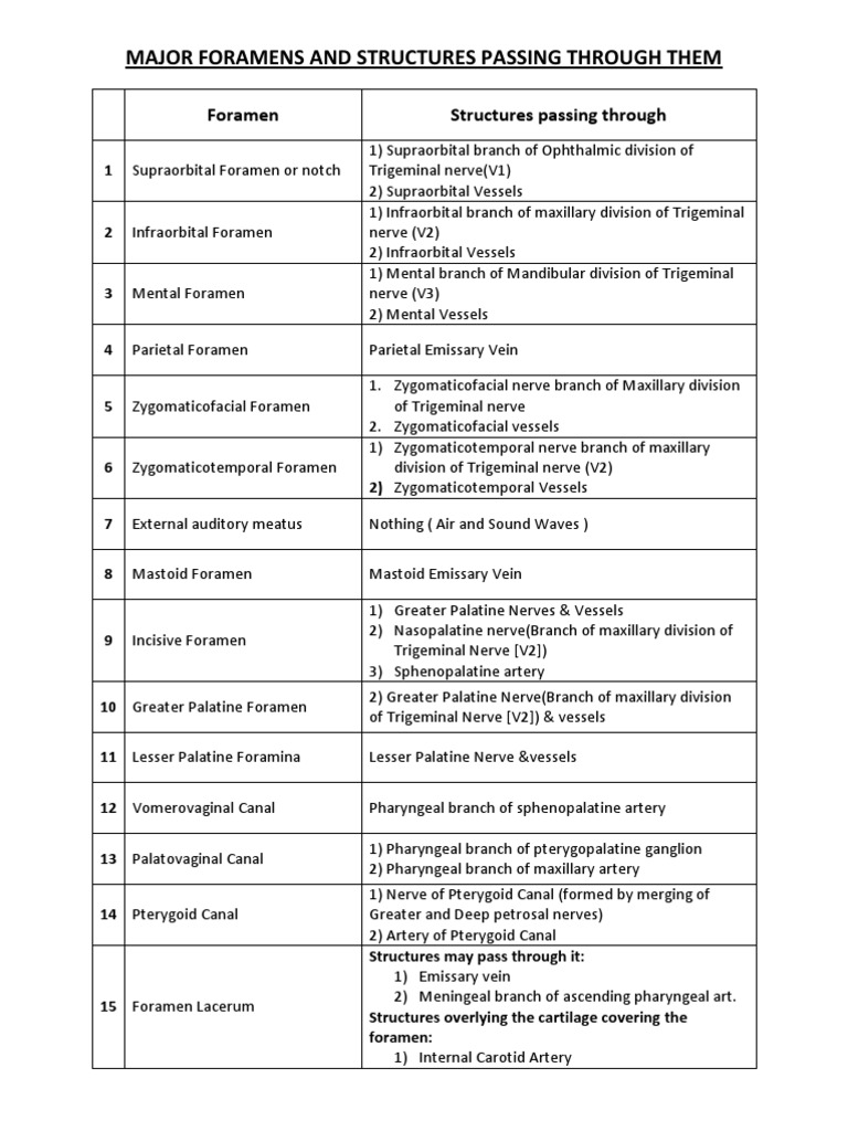 Structures Passing Through The Foramens of Skull | PDF | Human Head And ...
