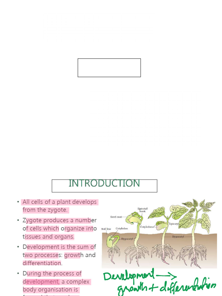 Plant Growth and Development Overview | PDF | Plant Hormone | Auxin