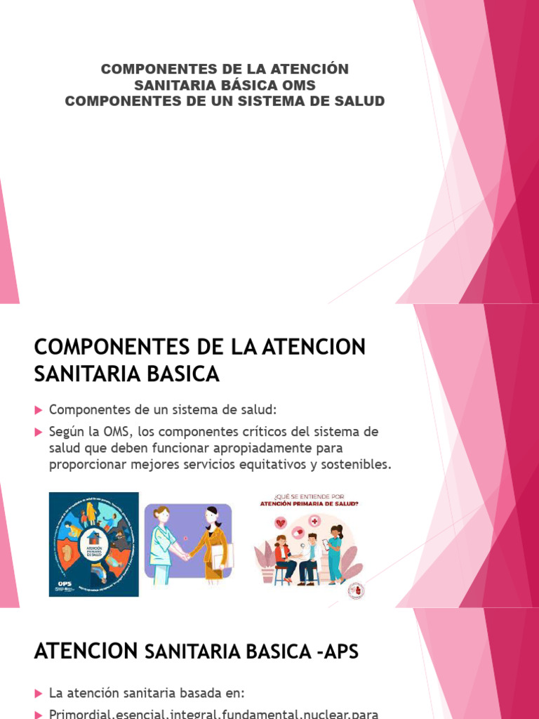 Componentes de Atención Sanitaria APS | PDF | Cuidado de la salud ...