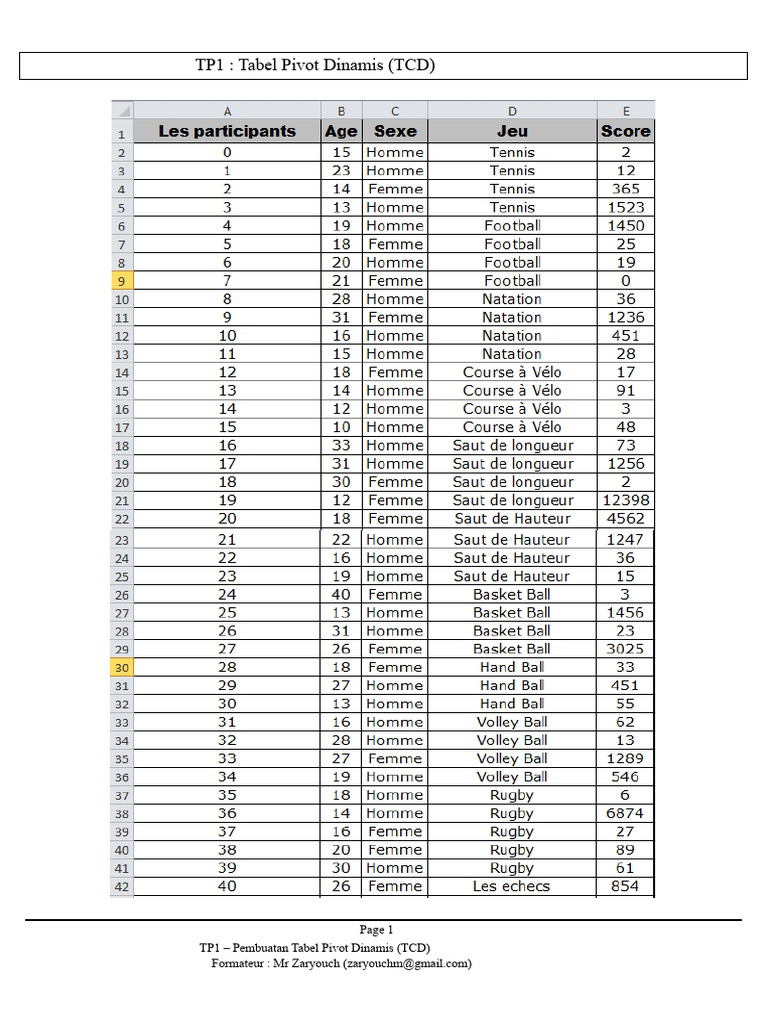 TP1 Tabel Pivot Dinamis (TCD) | PDF