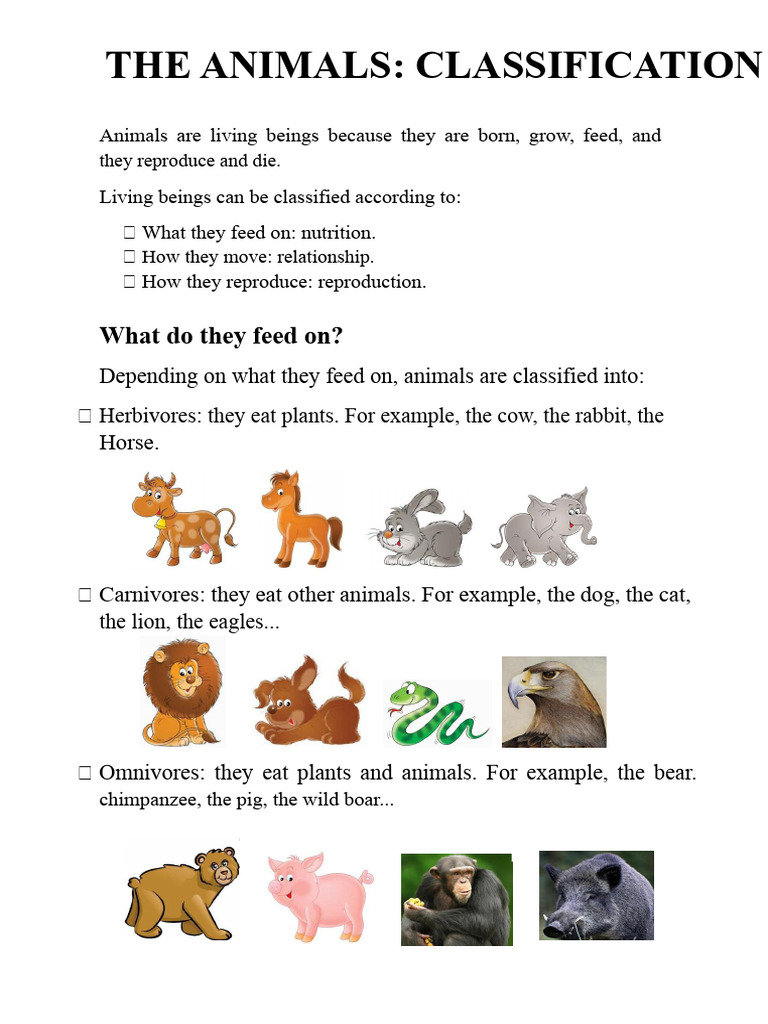 The Animals - Classification | PDF