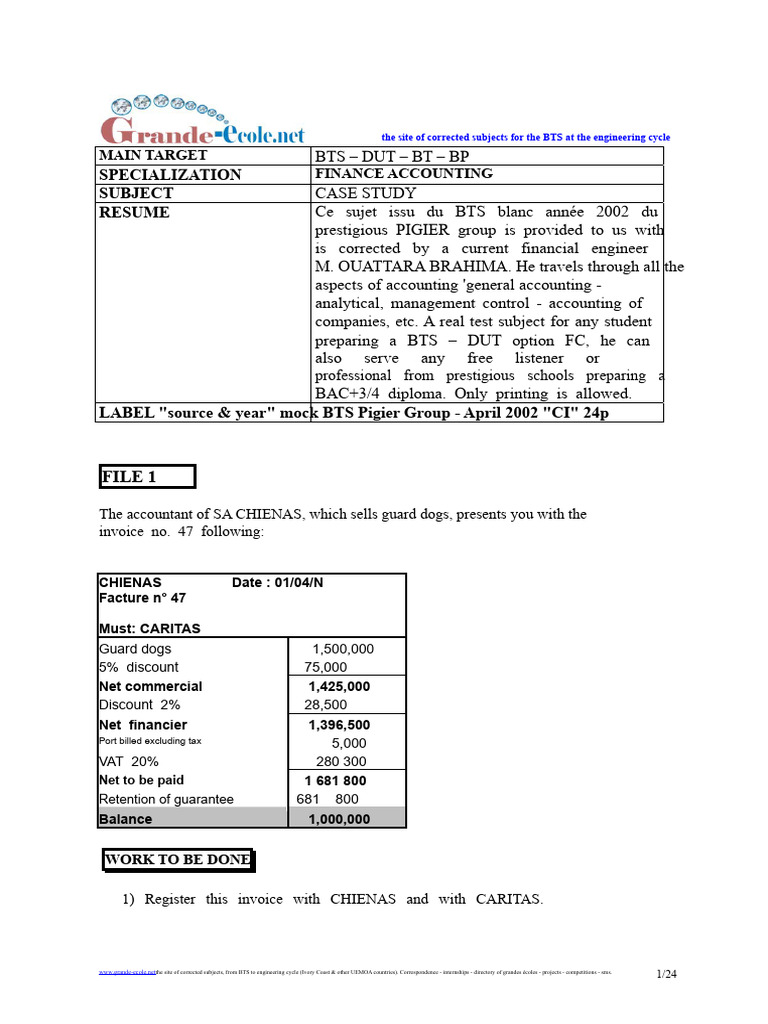 BTS FCGE Case Study Pig 2002 | PDF | Financial Services | Corporations