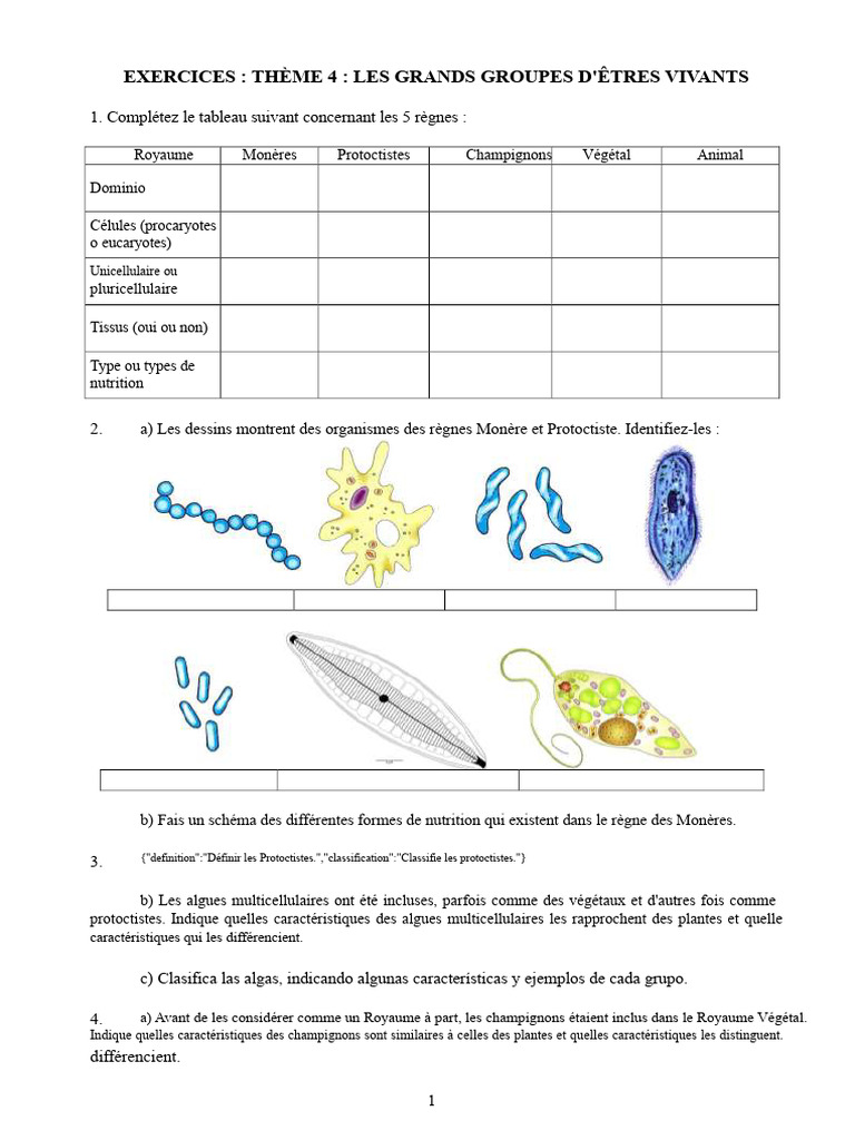 Les Grands Groupes d'Êtres Vivants | PDF | Biologie | Organismes