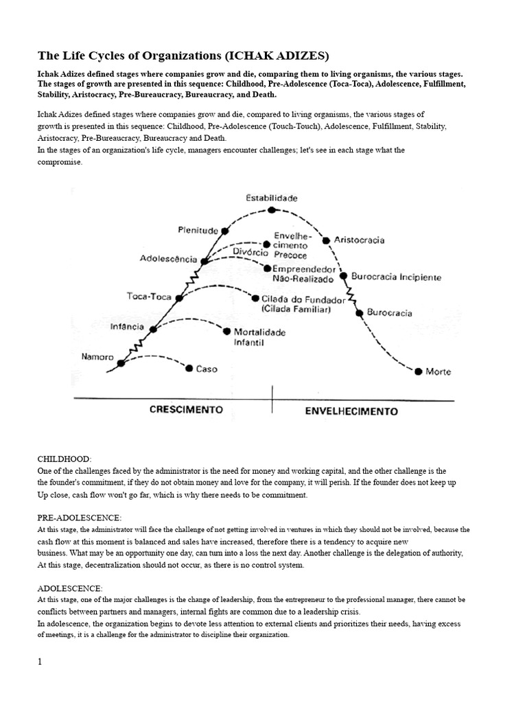 The Life Cycles of Organizations | PDF | Entrepreneurship | Economics
