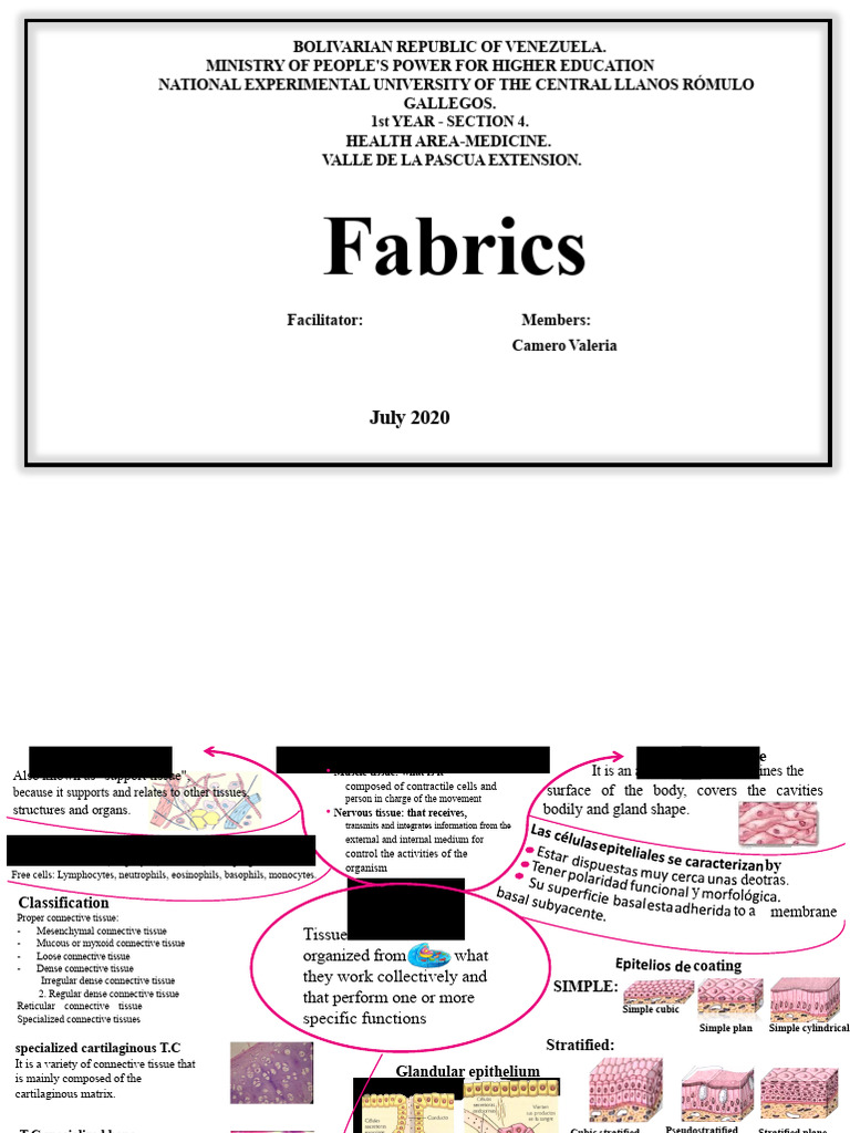 Mind Map Tissues | PDF | Connective Tissue | Tissue (Biology)