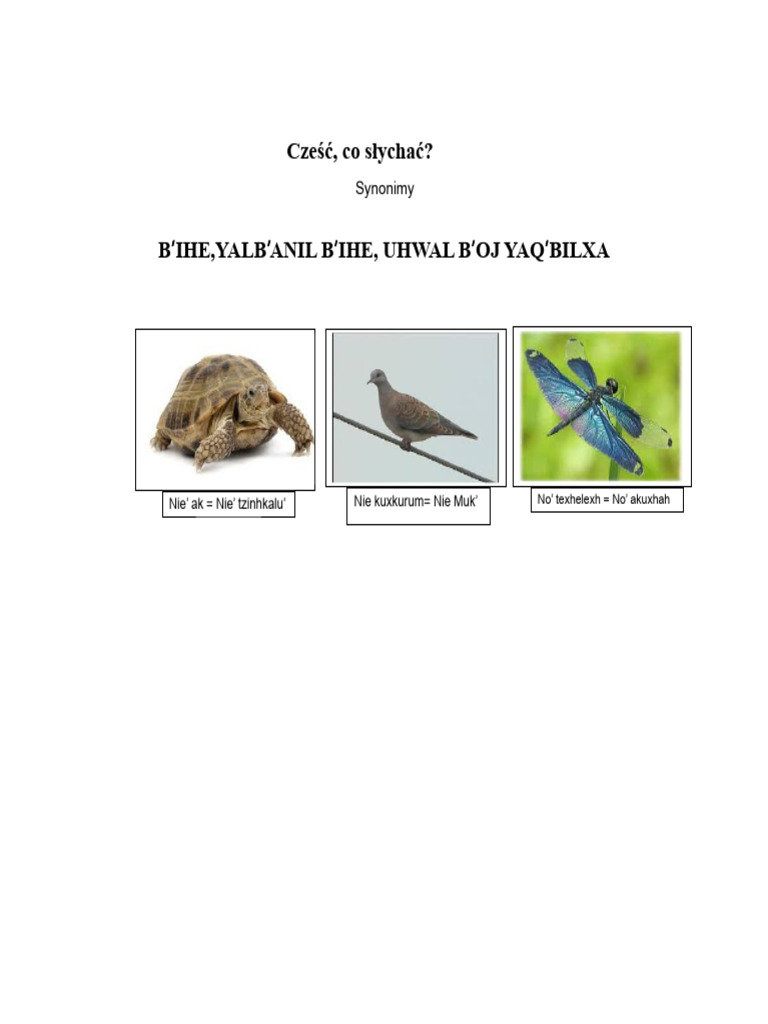 Synofimy W Popti' 15-07-2016 | PDF
