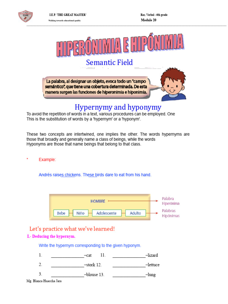 Hypernyms and Hyponyms Practice Guide | PDF | Lexical Semantics