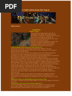 Among Cults Walkthrough en | PDF