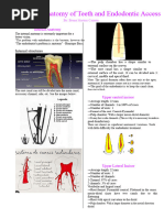 Endodontic Canal Configuration Guide | PDF | Tooth | Dental Anatomy