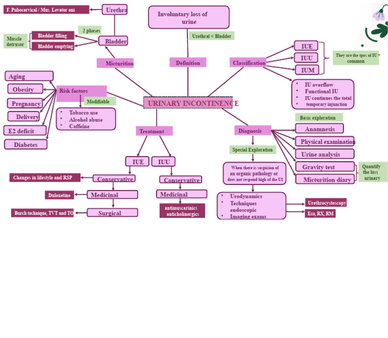 Understanding Urinary Incontinence | PDF | Urinary Incontinence ...